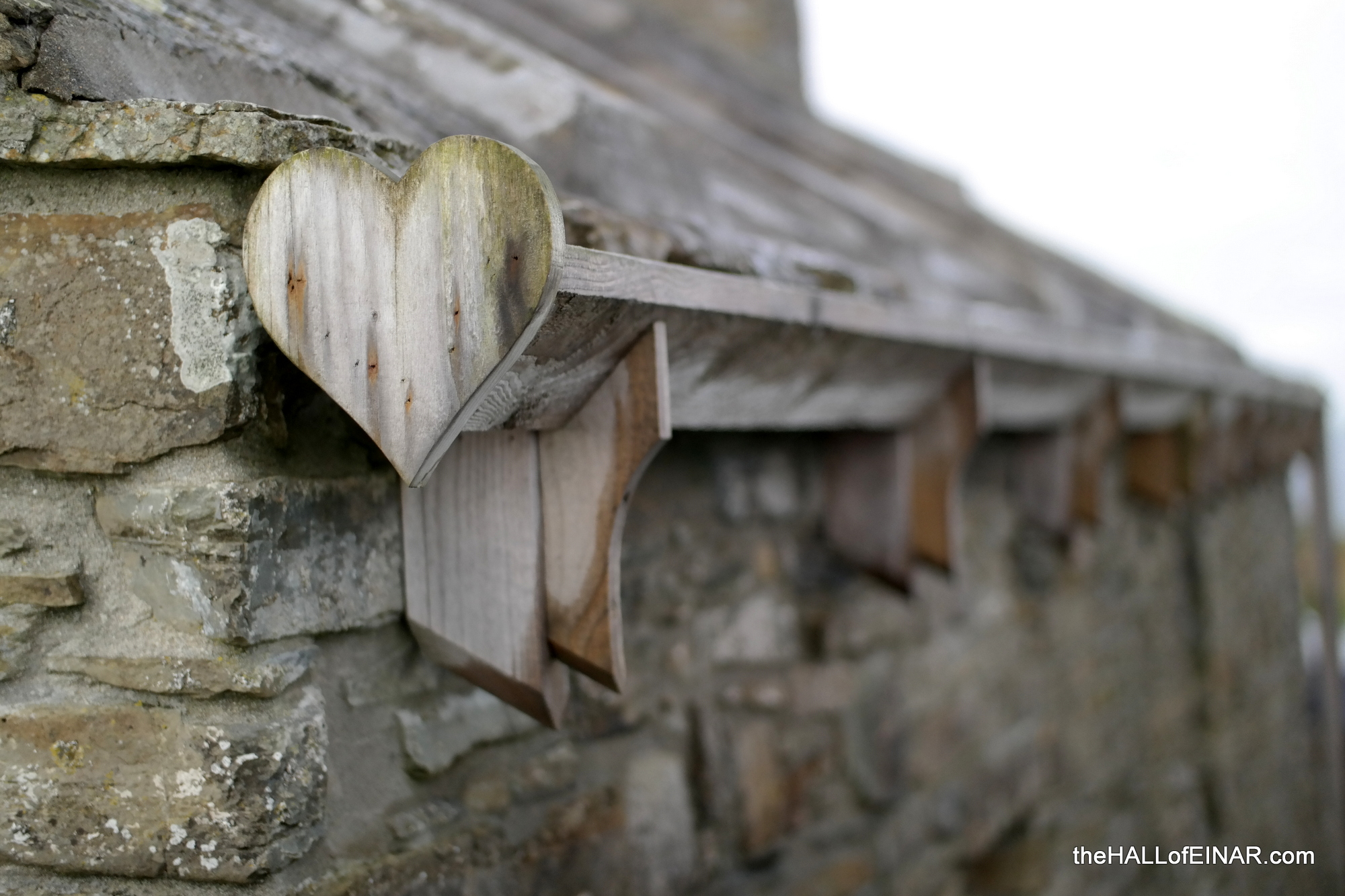 Wooden gutters – David at the HALL of EINAR