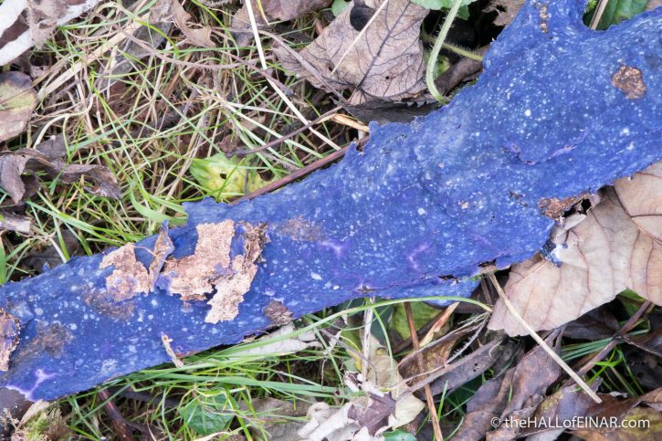 Cobalt Crust in Primley Park – David at the HALL of EINAR