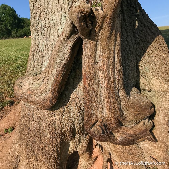 Orley Common – The Hall of Einar – photograph (c) David Bailey (not the ...
