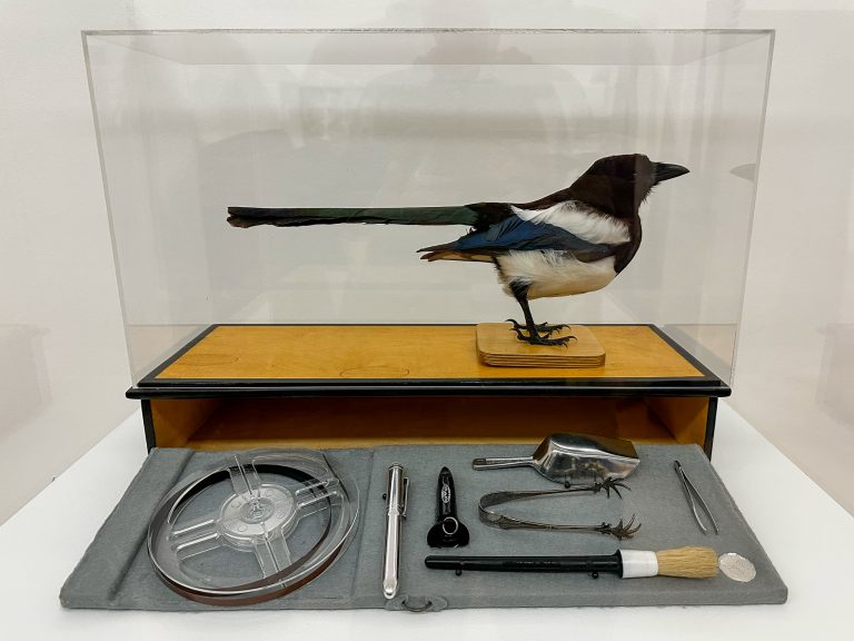 The Magpie’s Box – David at the HALL of EINAR